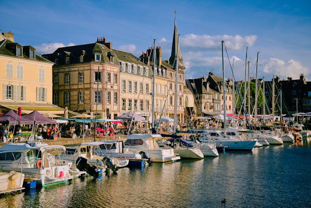 Understanding Tout, Tous, Toute, Toutes in French - Bonjour Basics